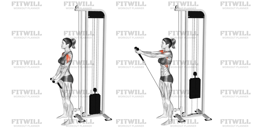 Cable Front Raise (rope Attachment): Exercise Guide, Video, Techniques ...