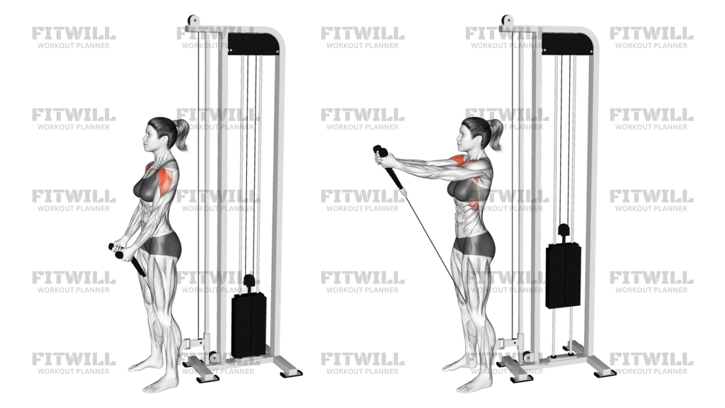 Cable Front Raise (rope Attachment): Exercise Guide, Video, Techniques ...