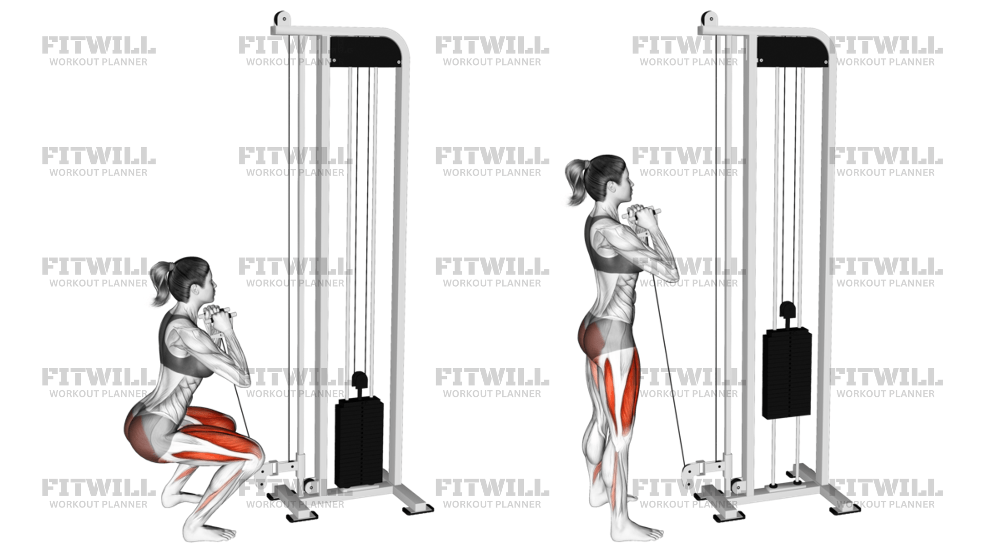 Cable Goblet Squat Exercise Guide Video Techniques Benefits How To Muscles Worked Tips