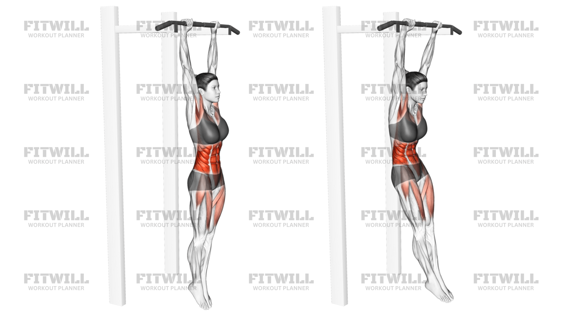 Hanging Hollow Hold: Exercise Guide, Video, Techniques, Benefits, How ... Hanging Hollow Hold: Exercise Guide, Video, Techniques, Benefits, How ...