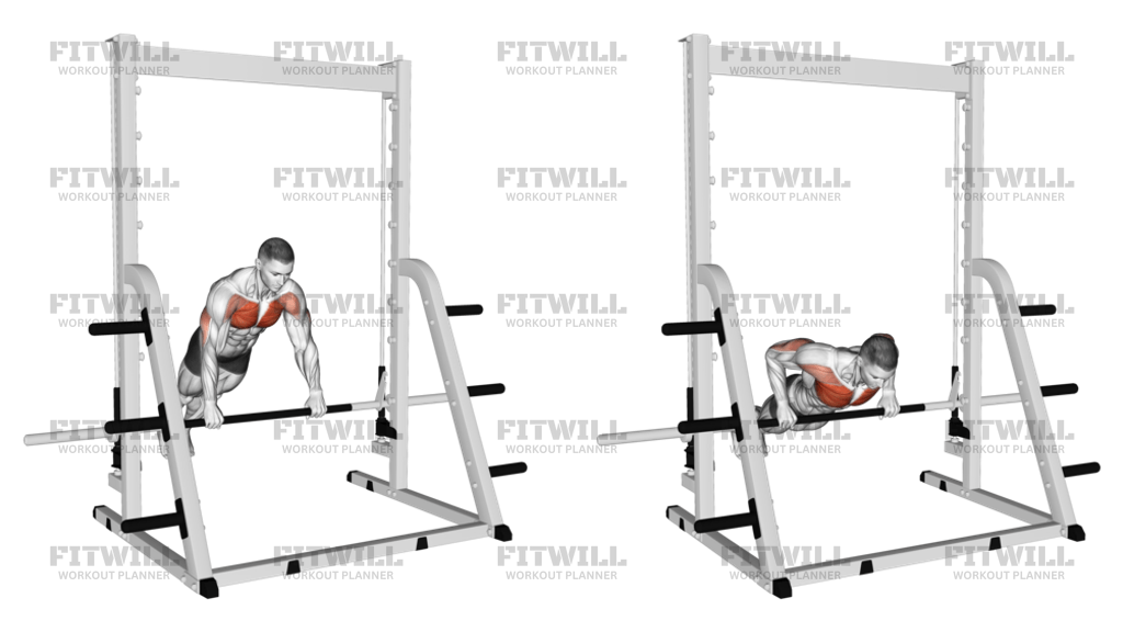 Flexiones Inclinadas En Barra Smith: Guía de Ejercicios, Video ...