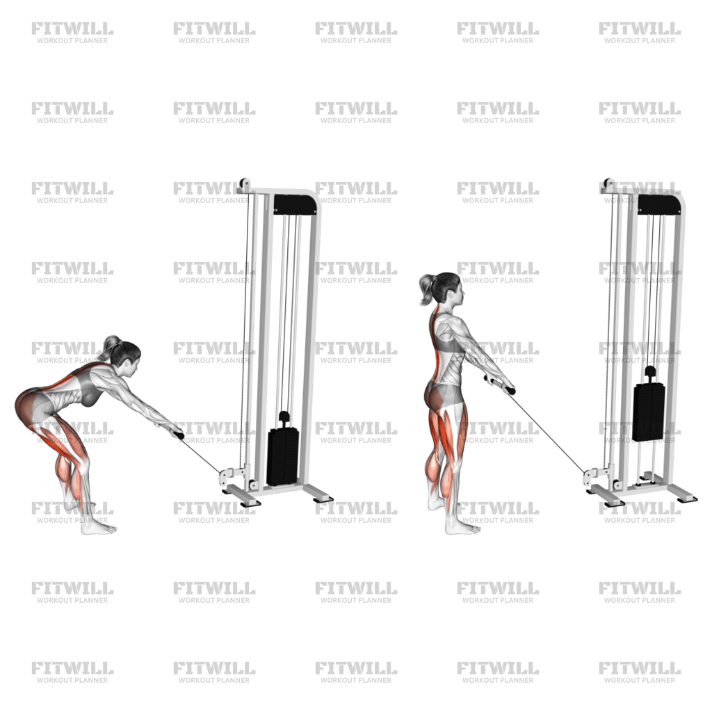 Cable Romanian Deadlift: Exercise Guide, Video, Techniques, Benefits ...