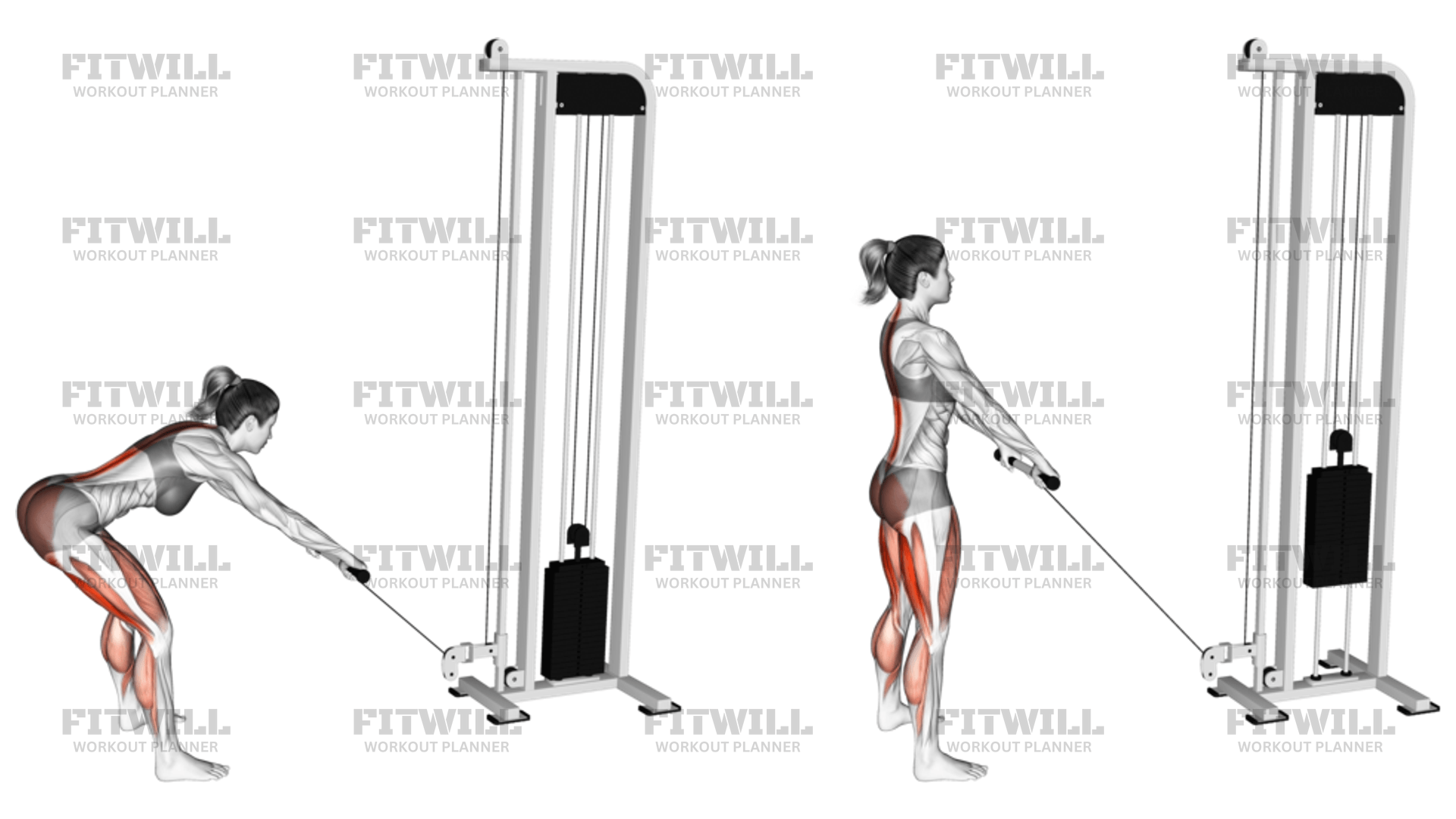 Cable Romanian Deadlift: Exercise Guide, Video, Techniques, Benefits ...