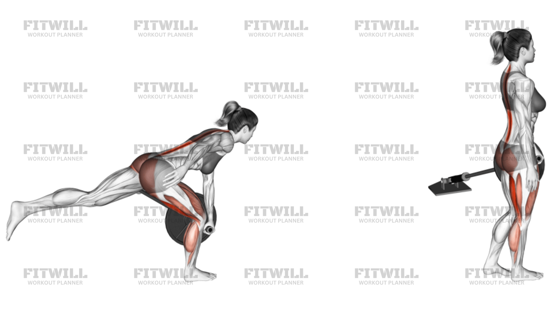 Landmine Single Leg Romanian Deadlift: Exercise Guide, Video ... Landmine Single Leg Romanian Deadlift: Exercise Guide, Video ...