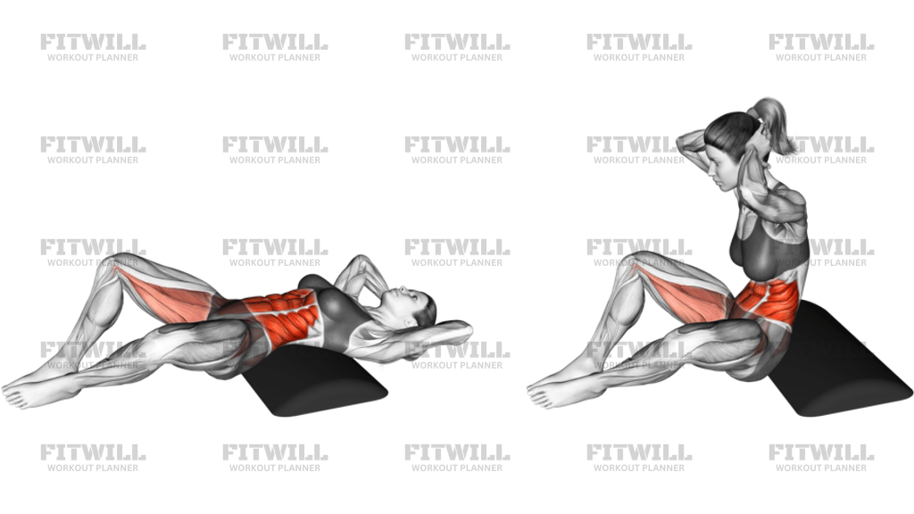 Exercise Library | Fitwill