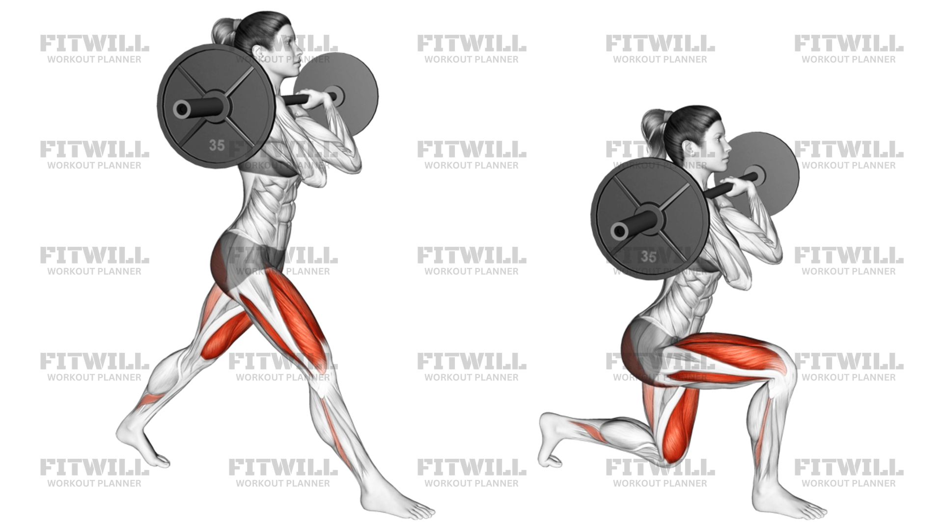 Barbell Front Rack Split Squat: Exercise Guide, Video, Techniques ...