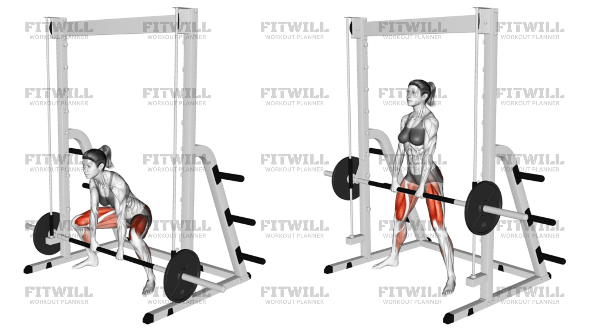 Peso Muerto Sumo En Máquina Smith: Guía de Ejercicios, Video, Técnicas ...