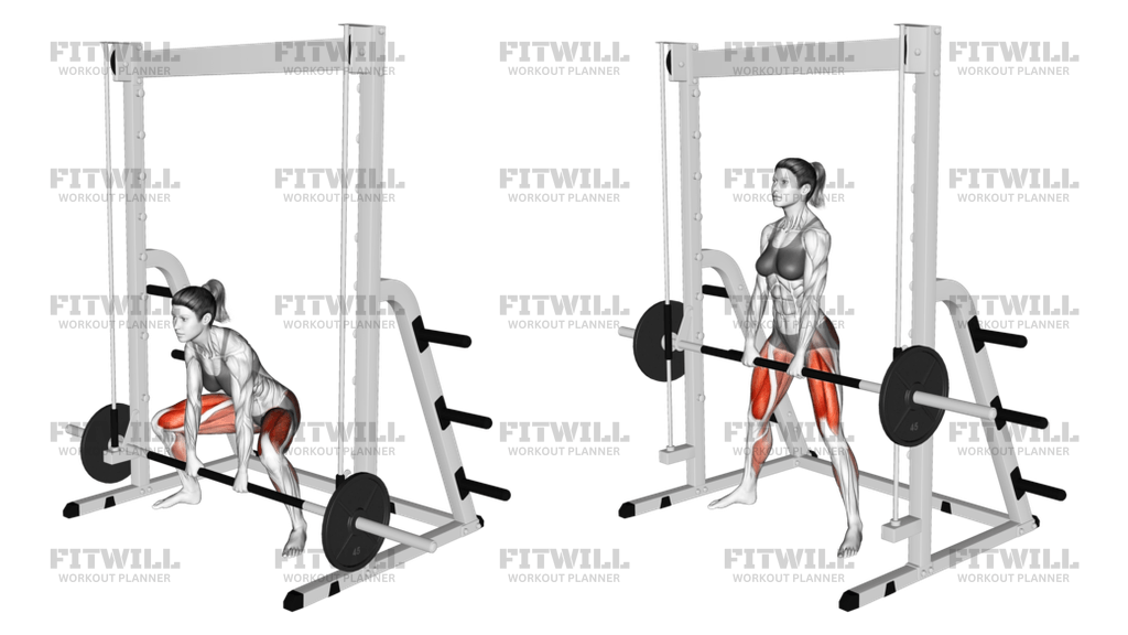 Smith Sumo Deadlift: Exercise Guide, Video, Techniques, Benefits, How ...