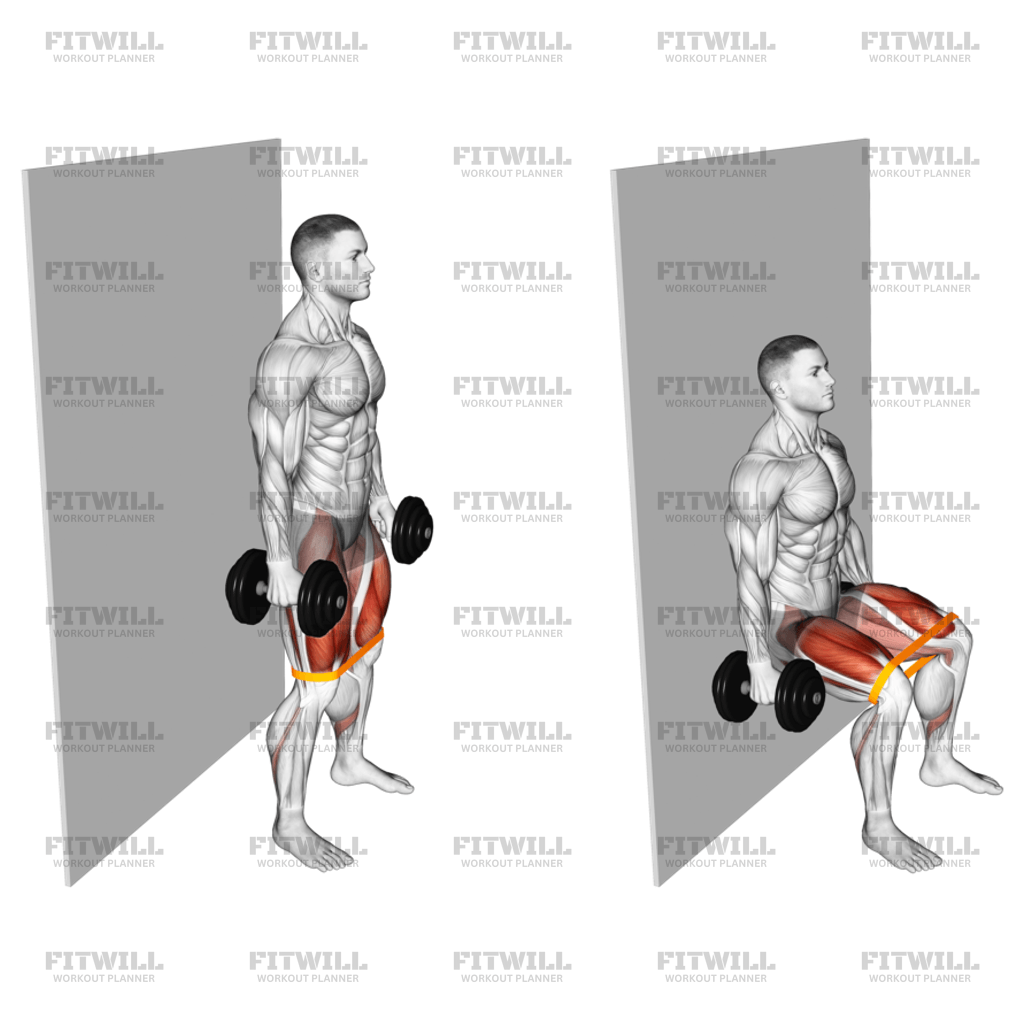 Sentadilla Isométrica Con Mancuerna Y Banda Elástica (hombre): Guía de ...