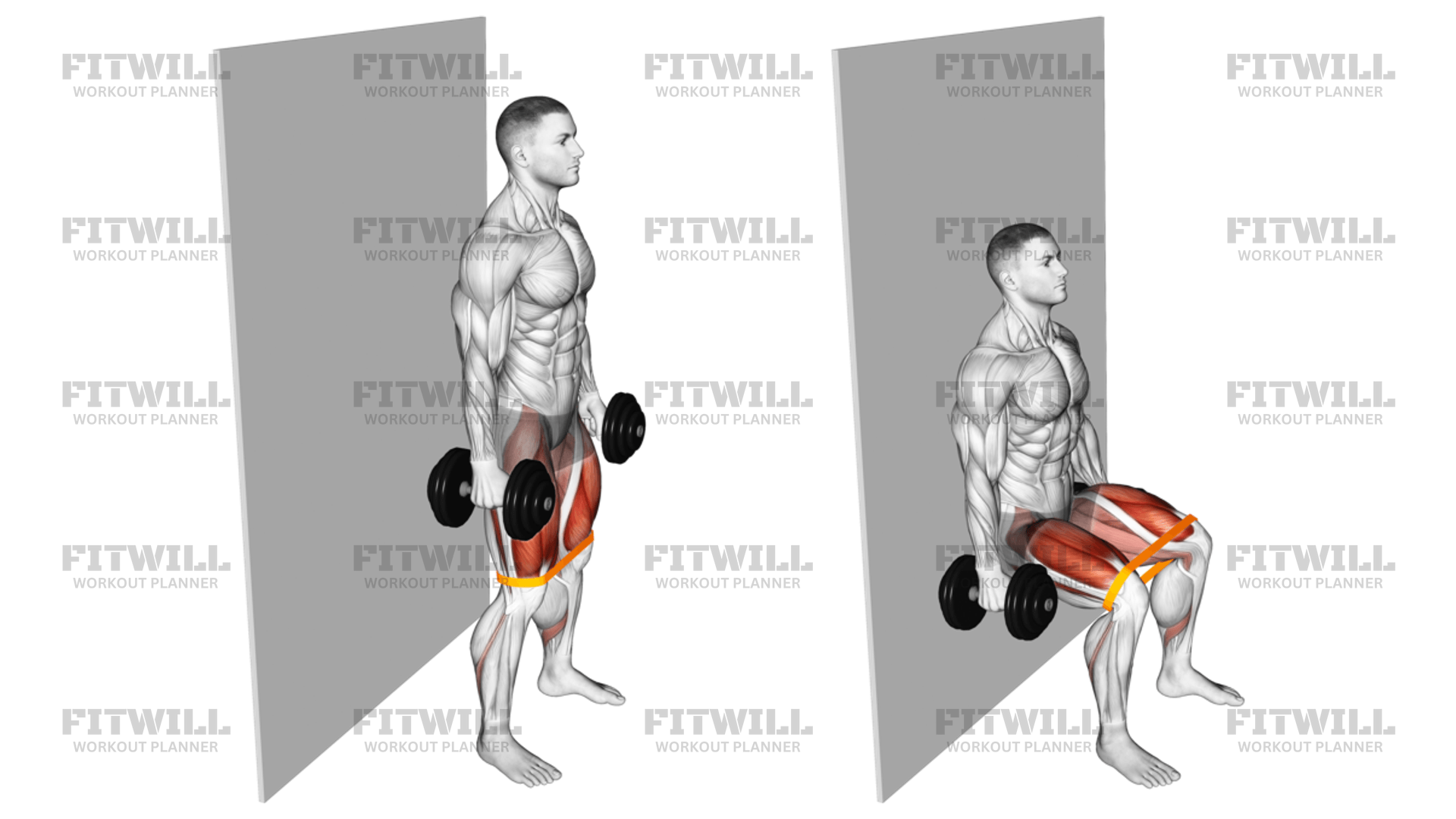 Sentadilla Isométrica Con Mancuerna Y Banda Elástica (hombre): Guía de ...