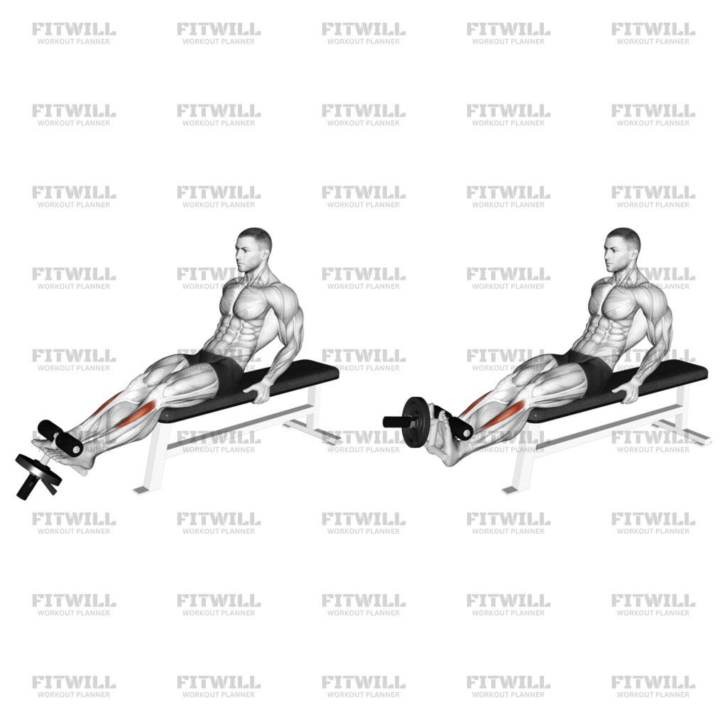 Weighted Plate Tibialis Anterior Curl: Exercise Guide, Video ...