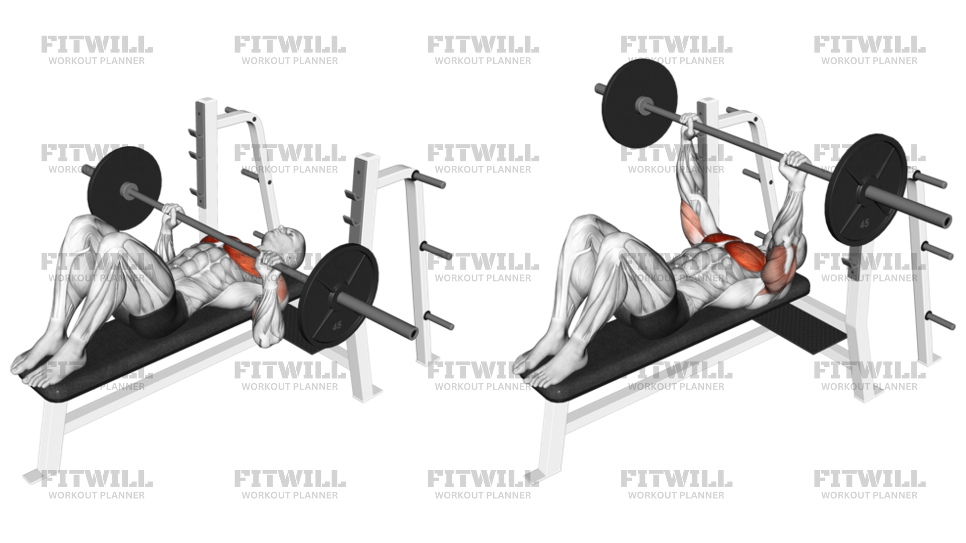 Barbell Feet Flat Bench Press: Exercise Guide, Video, Techniques ...