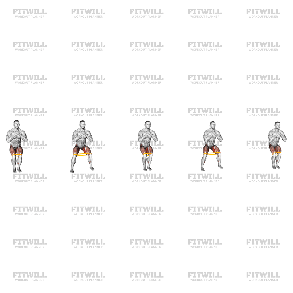 Resistance Band Lateral Walk: Exercise Guide, Video, Techniques ...