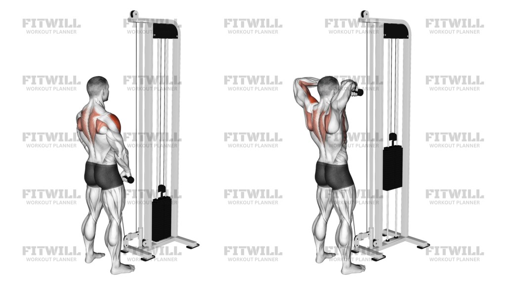 How to do Cable High Pull with Rope Attachment: Techniques, Benefits ...