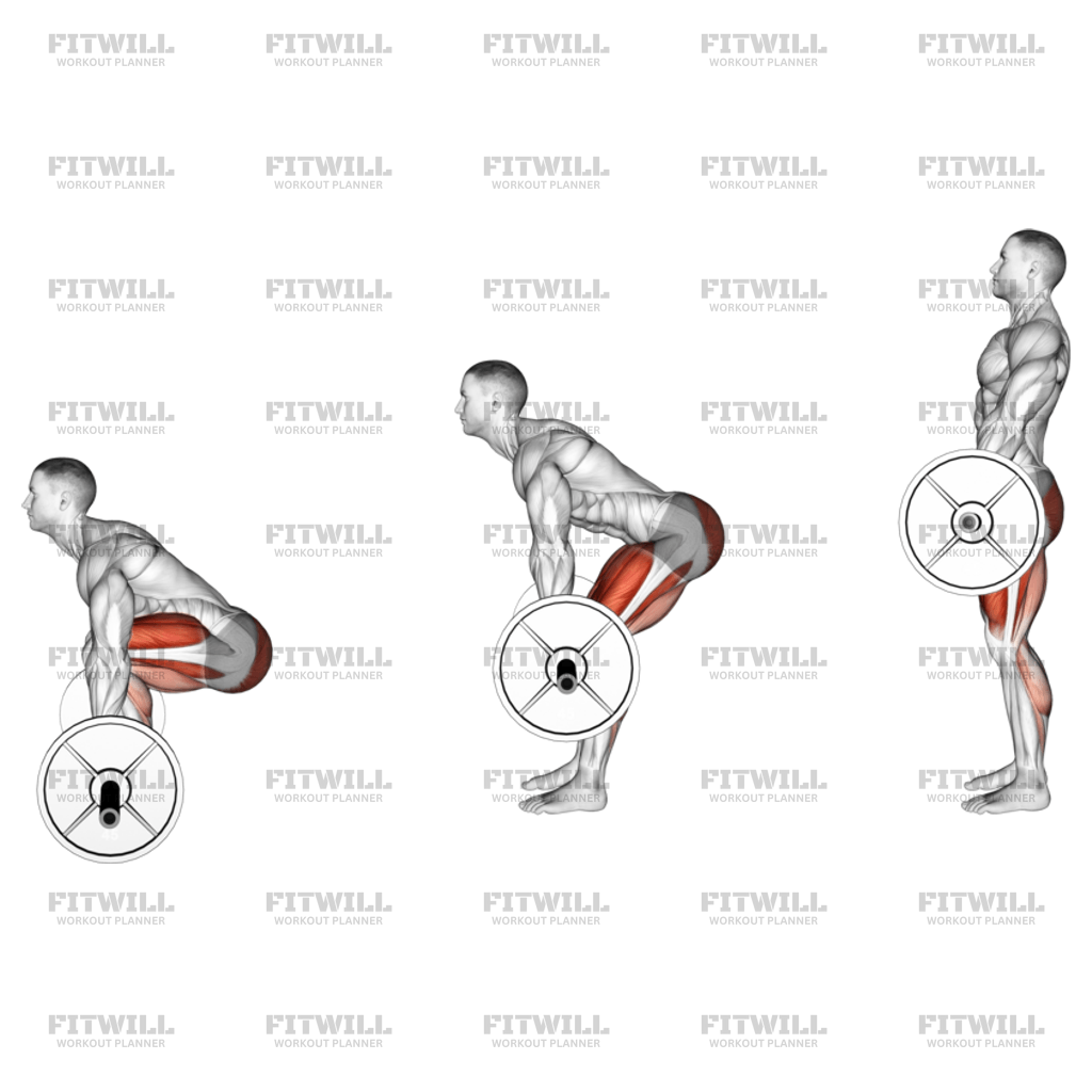 Barbell Deadlift (side POV): Exercise Guide, Video, Techniques ...
