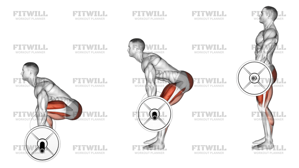 Barbell Deadlift (side POV): Exercise Guide, Video, Techniques ...