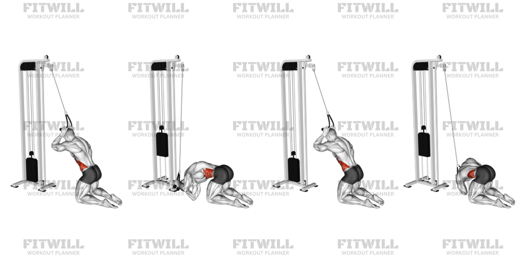 Cable Rope Kneeling Side Crunch: Exercise Guide, Video, Techniques ...