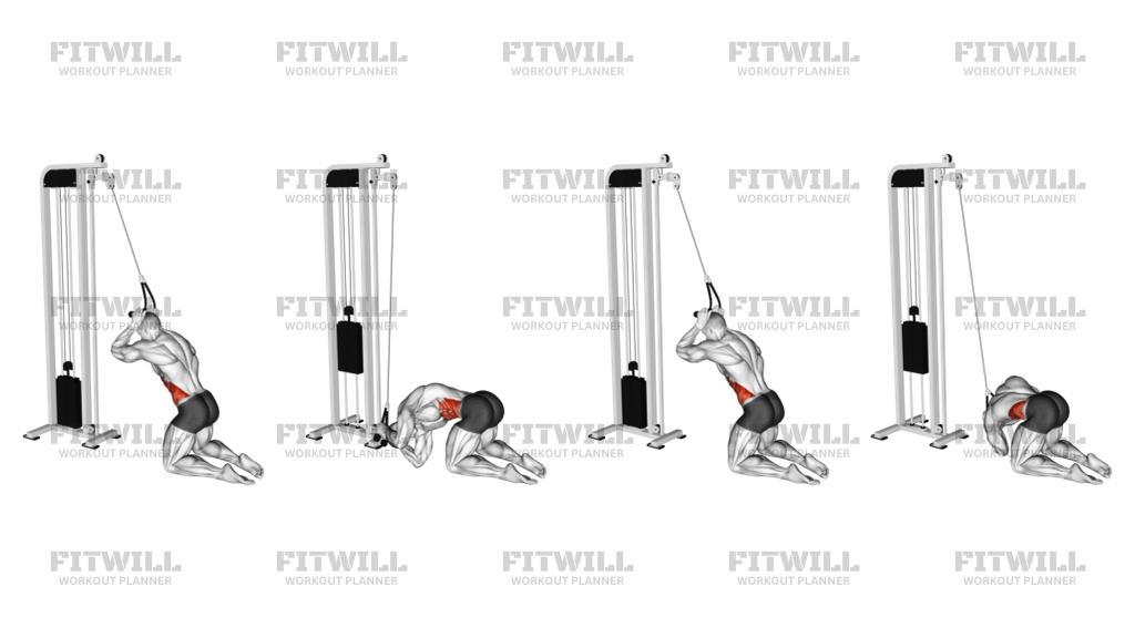 Cable Rope Kneeling Side Crunch: Exercise Guide, Video, Techniques ...