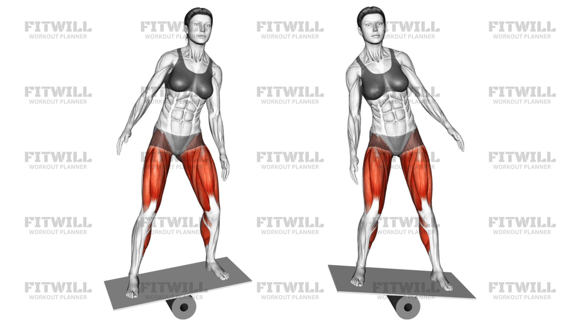 Balance Board (VERSION 2): Exercise Guide, Video, Techniques, Benefits, How to, Muscles Worked ...