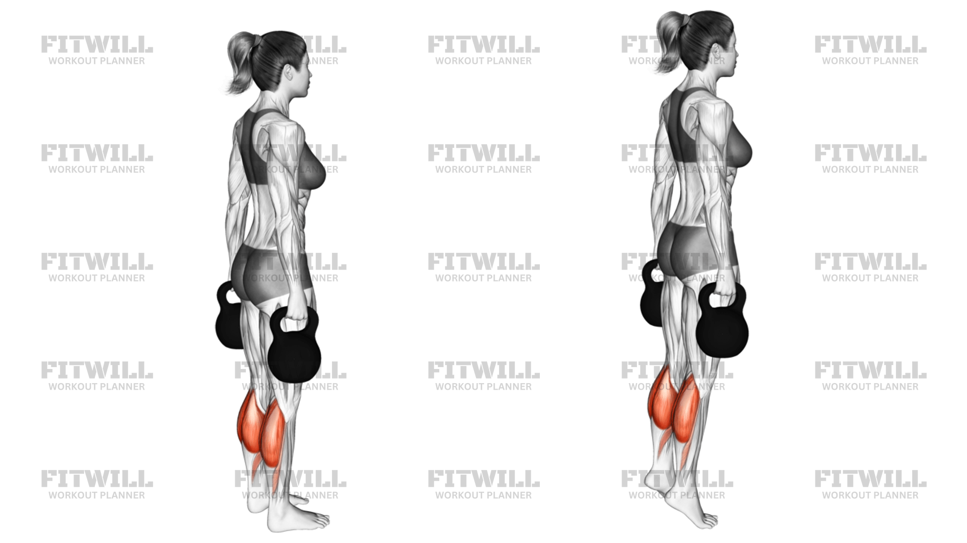 Kettlebell Standing Calf Raise: Exercise Guide, Video, Techniques ...