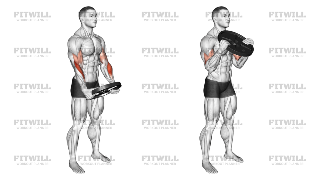 Weighted Plate Standing Biceps Curl: Exercise Guide, Video, Techniques ...