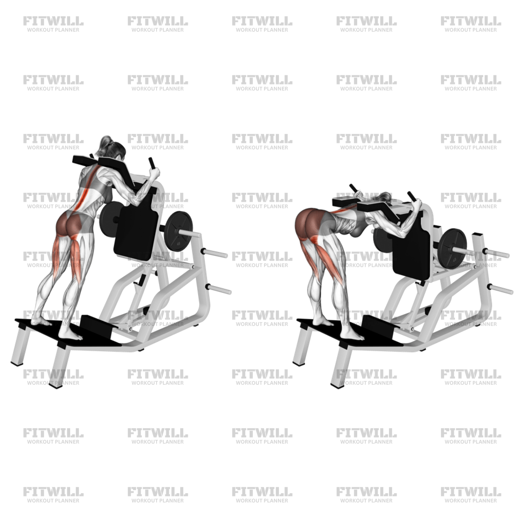 Lever Good Morning On The Hack Squat Machine: Exercise Guide, Video ...