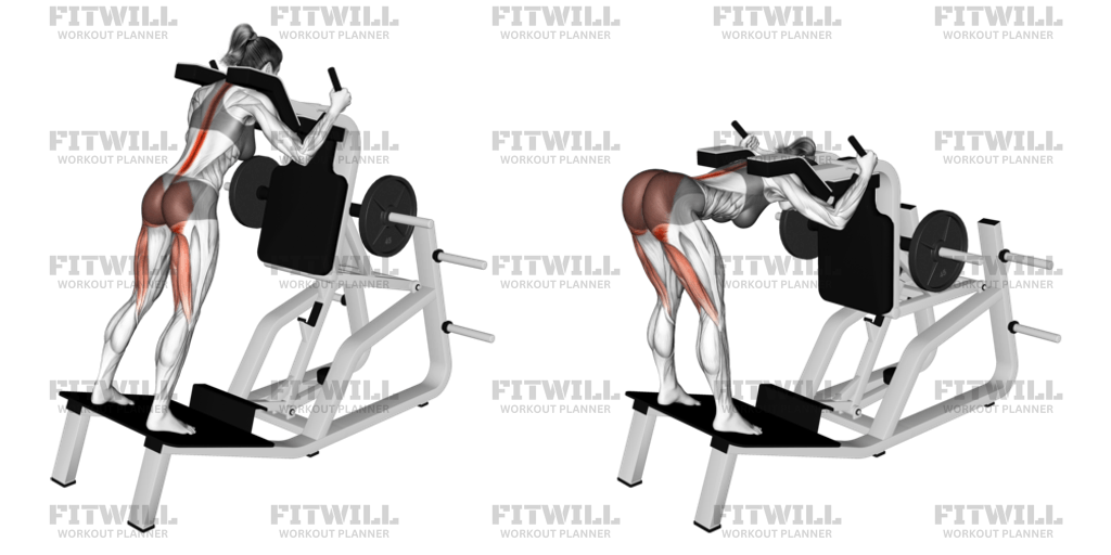 Lever Good Morning On The Hack Squat Machine: Exercise Guide, Video ...