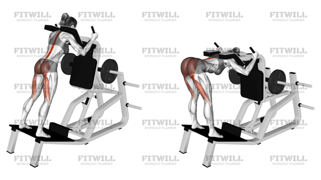 Lever Good Morning On The Hack Squat Machine: Exercise Guide, Video ...