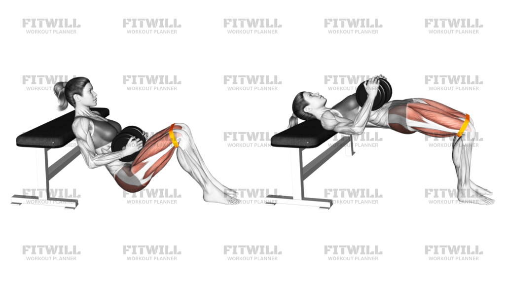 How to do Dumbbell Banded Hip Thrust: Techniques, Benefits, Tips & Tricks | Fitwill