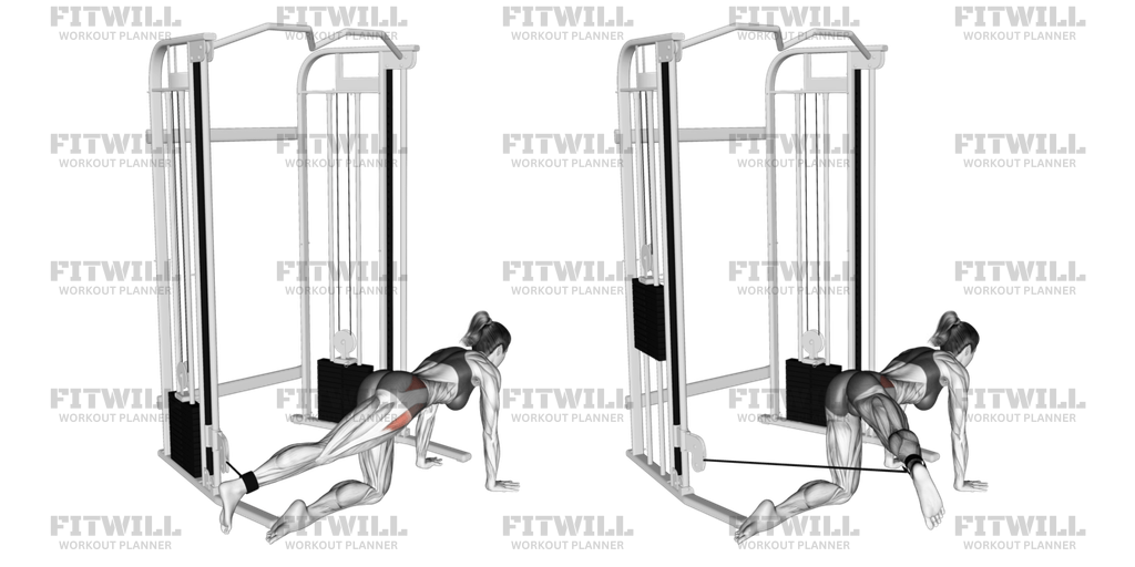Cable Kneeling Hip Abduction: Exercise Video | Fitwill