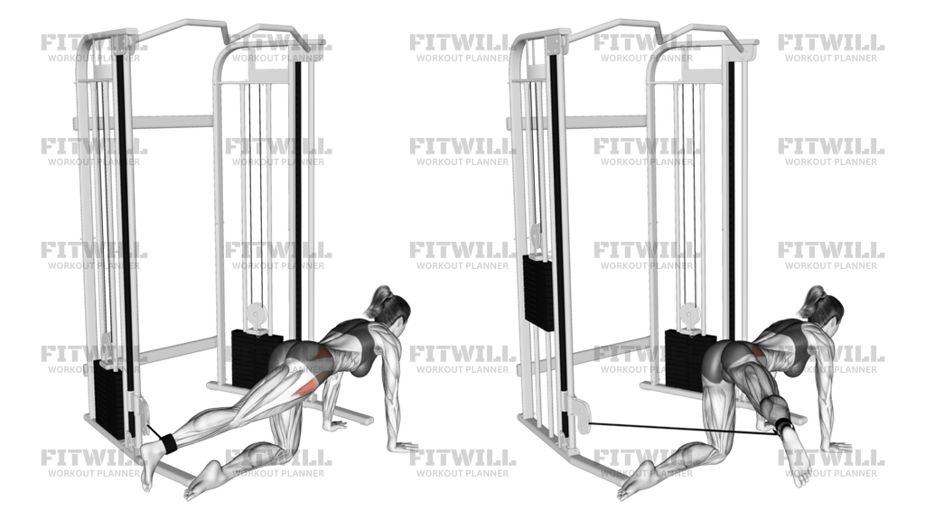 Cable Kneeling Hip Abduction: Exercise Video | Fitwill