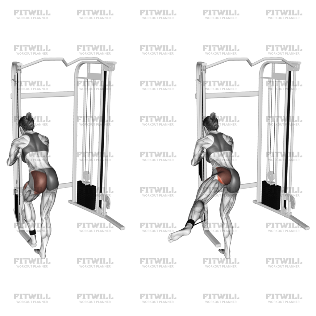 Cable Donkey Diagonal Kickback: Exercise Video | Fitwill