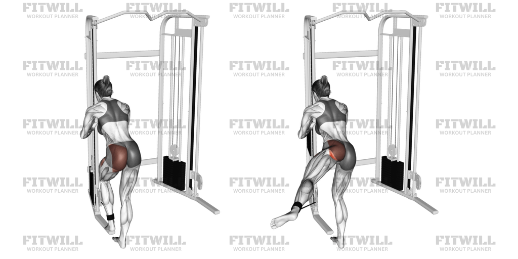 Cable Donkey Diagonal Kickback: Exercise Guide, Video, Techniques ...