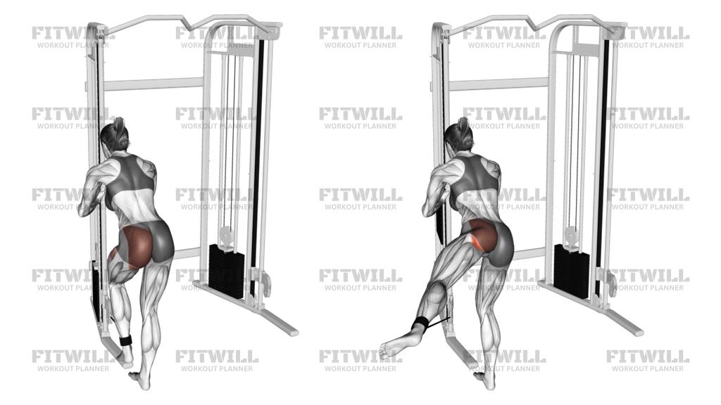 Cable Donkey Diagonal Kickback: Exercise Guide, Video, Techniques ...