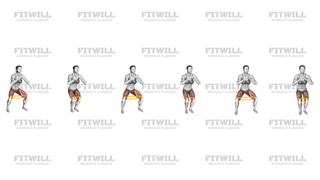 Resistance Band Side Walk Squat: Exercise Guide, Video, Techniques ...