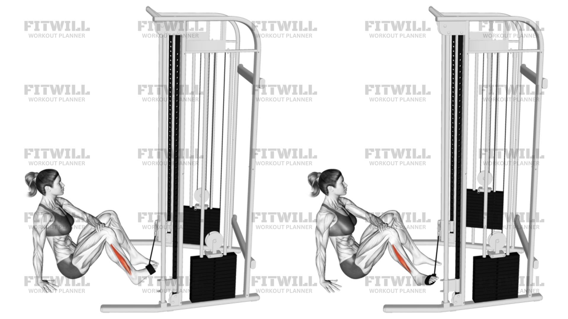 Cable Seated Foot Eversion: Exercise Guide, Video, Techniques, Benefits ...