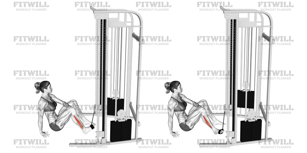 Cable Seated Foot Eversion: Exercise Guide, Video, Techniques, Benefits, How to, Muscles Worked ...