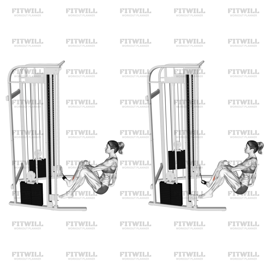 Cable Seated Foot Inversion: Exercise Guide, Video, Techniques ...