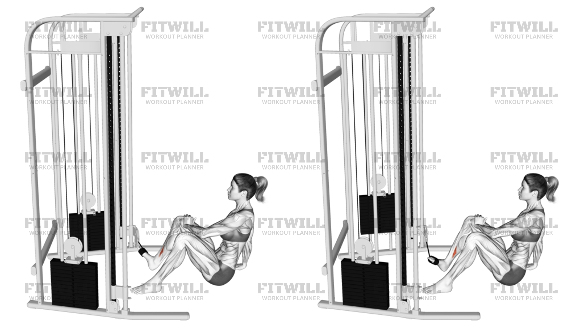 Cable Seated Foot Inversion: Exercise Guide, Video, Techniques ...