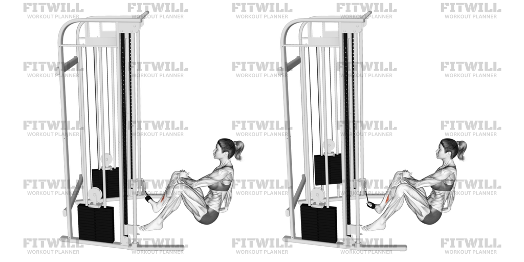 Cable Seated Foot Inversion: Exercise Guide, Video, Techniques ...