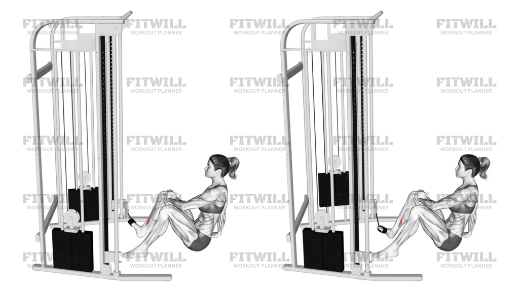 Cable Seated Foot Inversion: Exercise Guide, Video, Techniques ...