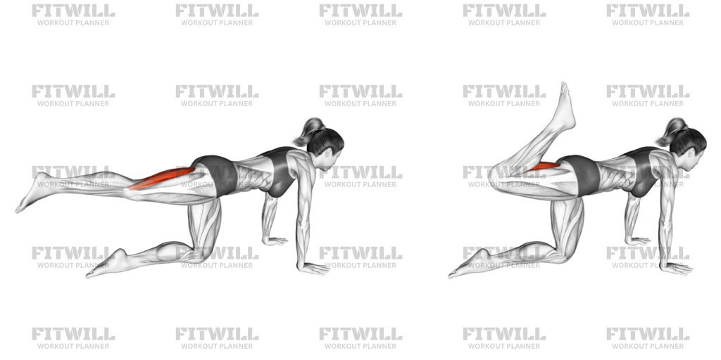 Kneeling Single Hamstring Curl: Exercise Guide, Video, Techniques ...
