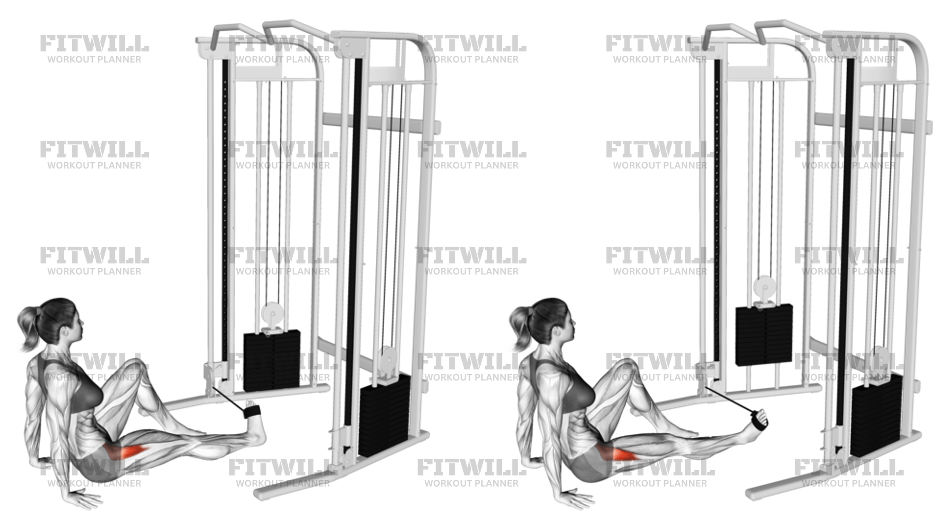 Seated Hip External Rotation: Exercise Guide, Video, Techniques ...