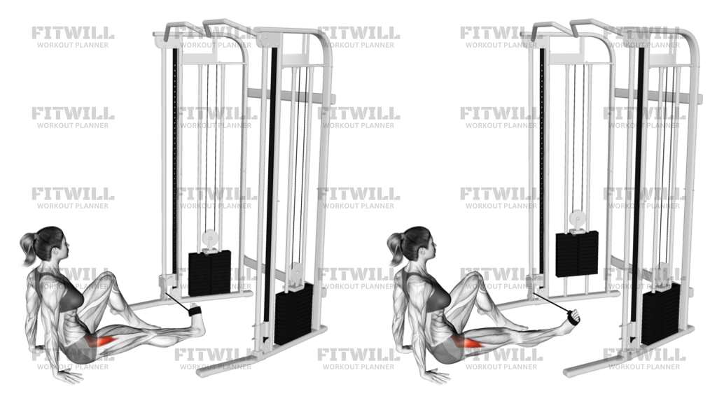 How to do Seated Hip External Rotation: Techniques, Benefits, Tips ...