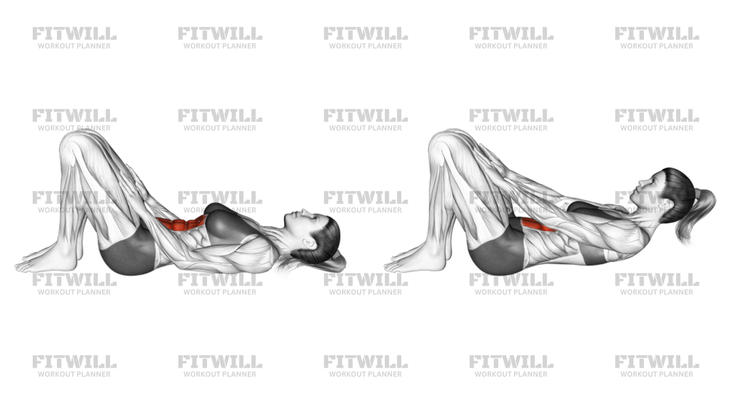How to do Lying Rectus Abdominis Activation Crunch: Techniques ...