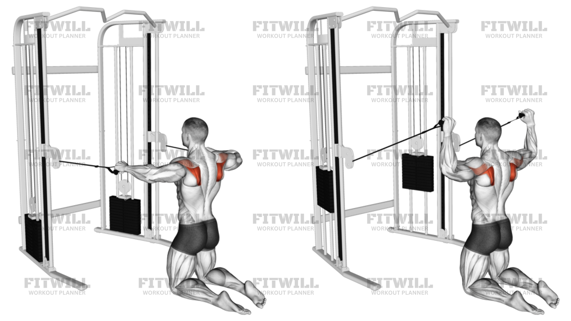Cable Kneeling Shoulder External Rotation: Exercise Guide, Video ...