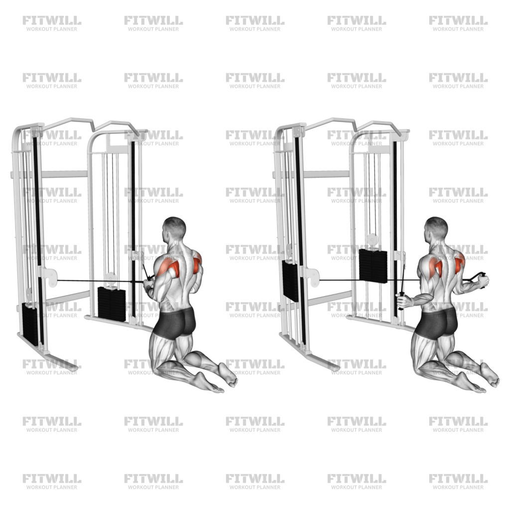 Cable Kneeling Shoulder External Rotation: Exercise Guide, Video ...