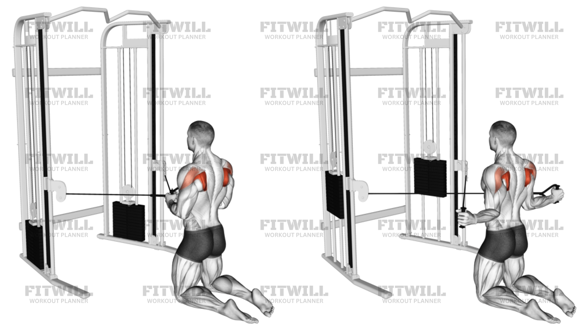 Cable Kneeling Shoulder External Rotation: Exercise Guide, Video ...