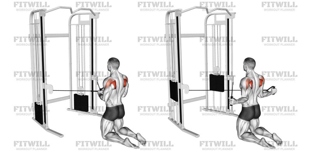 Cable Kneeling Shoulder External Rotation: Exercise Guide, Video ...