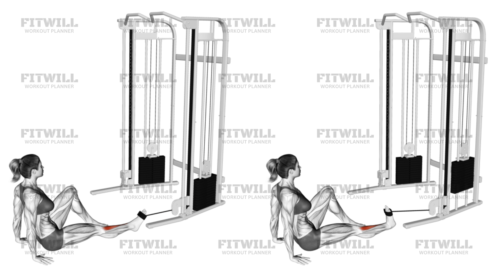 Seated Tibialis Anterior Press: Exercise Guide, Video, Techniques ...